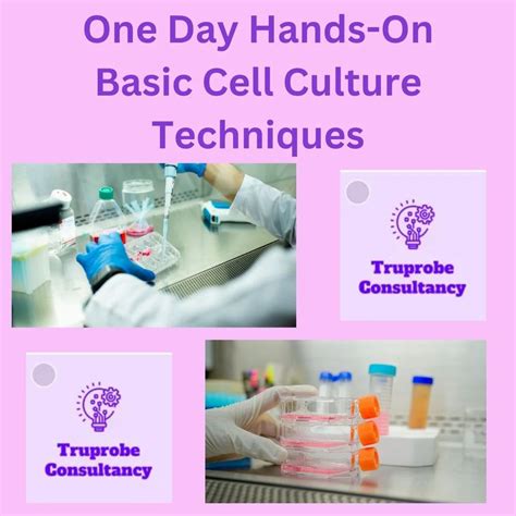 Fully Automated Clia Analyzer 10 Samples Flow Through Analyzers At