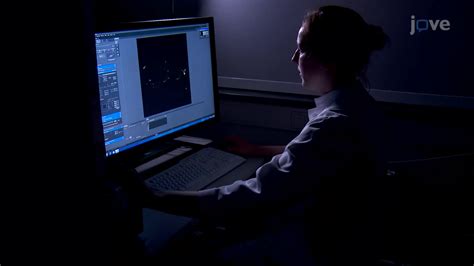 Video In Vivo Calcium Imaging Using Synaptically Localized Calcium Sensors In Drosophila