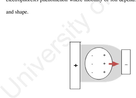 Figure 2 1 From Electromagnetic Flux Modelling Of Ac Field Over Planar Microarray Dot Electrodes