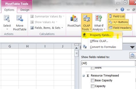 Find Missing Fields In Your OLAP Excel Reports PPMBLOG ORG Dedicated To The Microsoft Power