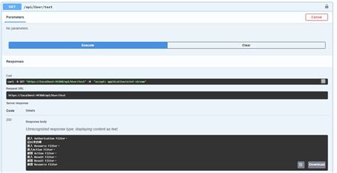 Exception Filters In Aspnet Core