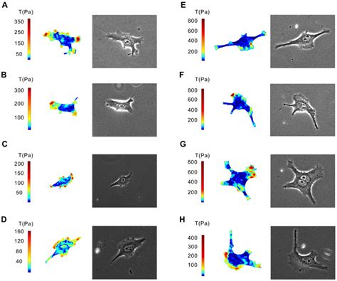 The Results Of Improved Throughput Measurements Each Panel Was Download Scientific Diagram