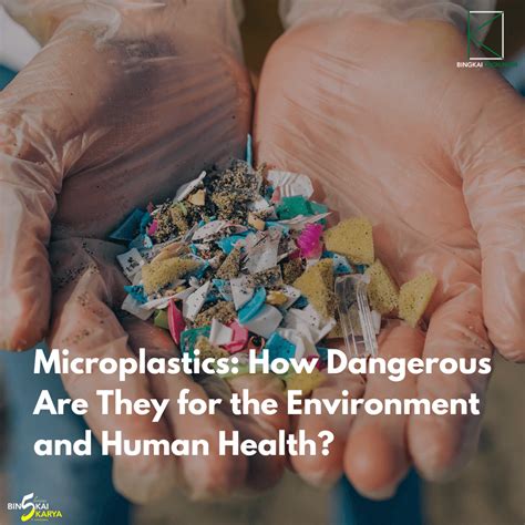 What Are Microplastics Are They Dangerous Eroppa