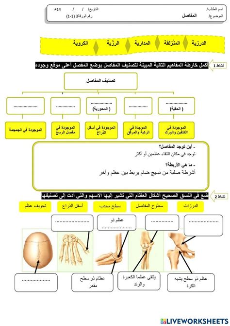 المفاصل Interactive Worksheet