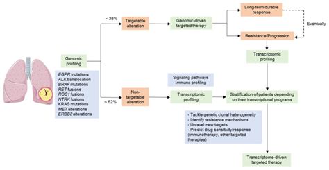 Gene Expression Profiling As A Potential Tool For Precision Oncology In Non Small Cell Lung