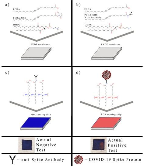 Biosensors Free Full Text Colorimetric Detection Of The Sars Cov 2