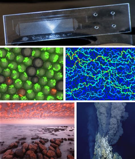 Next Generation Microfluidic Platforms Pepr Origins