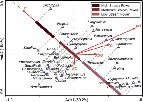 Cca Plot Of The Distribution Of Typical Macroinvertebrate Taxa Download Scientific Diagram