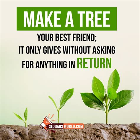 Save Trees Slogans For Eco Campaigns