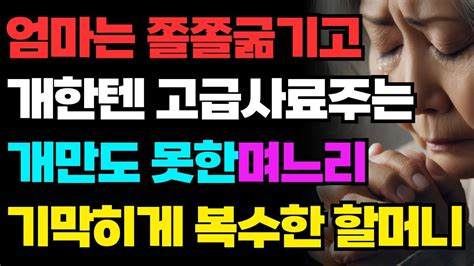 내가 개보다 못하다는 개가 부모보다 상전인 아들며느리에게 개무시 당하고 쫓겨난 할머니의 끔찍한 복수 반전 실화사연오디오북신청사연라디오 Youtube