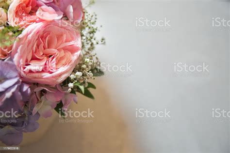 보라색 배경 흰색 배경에 분홍색 모란 텍스트 핑크 꽃다발 공란에 대한 스톡 사진 및 기타 이미지 공란 공휴일 기념일 Istock