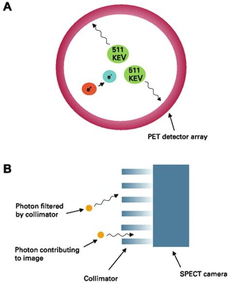 7 A Positron Emission Tomography Pet And B Single Photon