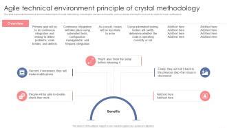 Agile Technical Environment Principle Of Crystal Methodology Agile Crystal Methodology IT PPT