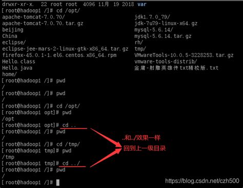 linux相对路径与绝对路径 用相对路径和绝对路径的方法从主目录进入子目录 csdn博客