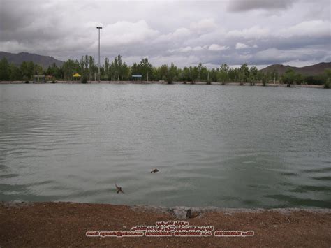 گرداب بن تیشینه همسفر باهوش شما