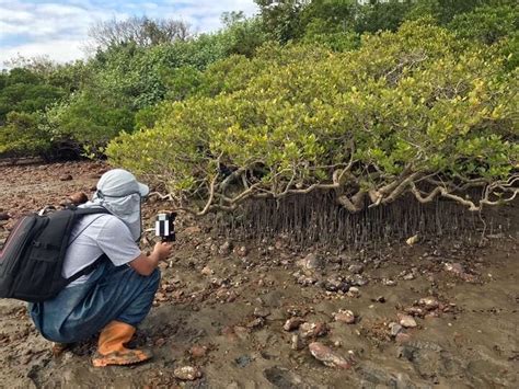 Question Of The Week 3d Scanning A Tree Fabbaloo