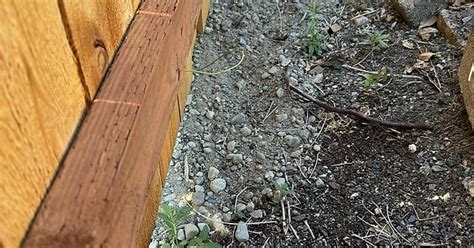 How To Fill Area Build Retaining Wall Album On Imgur