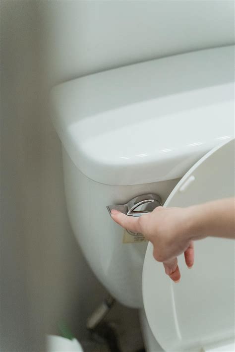 Guide To Different Toilet Flushing Systems Remodeling Com