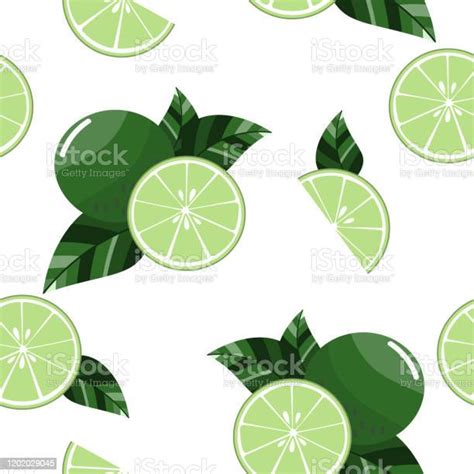 흰색 배경에 잎과 석회와 슬라이스 라임의 원활한 패턴 벡터 그림입니다 0명에 대한 스톡 벡터 아트 및 기타 이미지 0명 감귤류 과일 건강한 생활방식 Istock