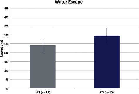 mean latency to platform in the water escape task sem there were no