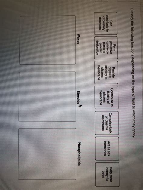 Solved Classify The Following Functions Depending On The