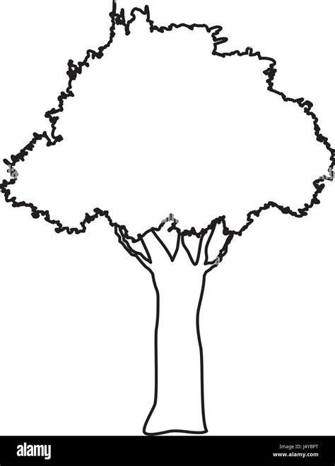 Tree Forest Nature Branch Outline Stock Vector Image Art Alamy