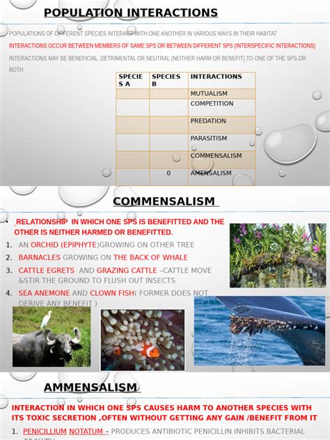 Population Interactions Pdf Predation Parasitism