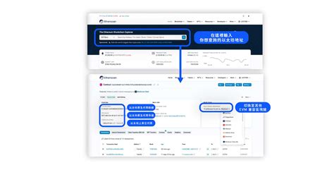 etherscan 是什麼？區塊鏈交易查詢、追蹤大戶、項目方動態就靠它！ 鏈習生