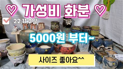 가성비 다육화분이 왔어요너무 사랑스러운 화분 입니다♡화분세일 Youtube
