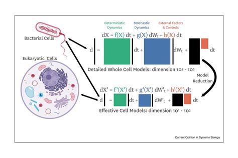 Statistical And Computational Challenges For Whole Cell Modelling