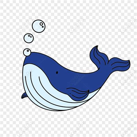 귀여운 고래 일러스트 수중 생물 푸른 바다 물 원주민 야생 Png 일러스트 무료 다운로드 Lovepik