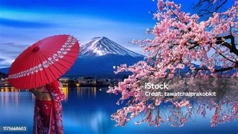 후지산과 벚꽃 일본의 가와구치코 호에서 일본 전통 기모노를 입은 아시아 여성 계절에 대한 스톡 사진 및 기타 이미지 계절
