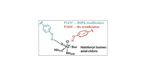 Role Of Secondary Coordination Sphere Residues In Halogenation Catalysis Of Non Heme Iron