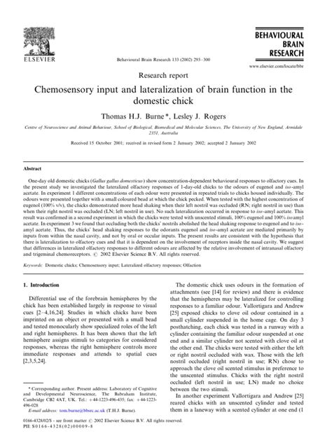 Chemosensory Input And Lateralization Of Pdf Odor Neuroscience