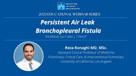 Persistent Air Leak Bronchopleural Fistula Society For Advanced