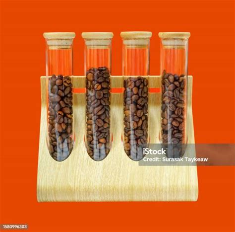 냄새 테스트를 위한 나무 뚜껑이 있는 유리관에 볶은 갈색 커피 원두 나무 홀더에 향긋한 향 커피 원두의 종류 커피 시험관 실험실 테스트 커피 원두의 종류 실험 내용 실험실에