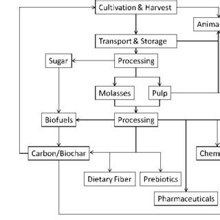 PDF A Review On The Complete Utilization Of The Sugarbeet