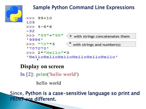Class 11 And 12 Ict Ppt Python Programmingpptx