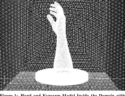 Figure 1 From The Use Of Computational Fluid Dynamics In Swimming Research Semantic Scholar