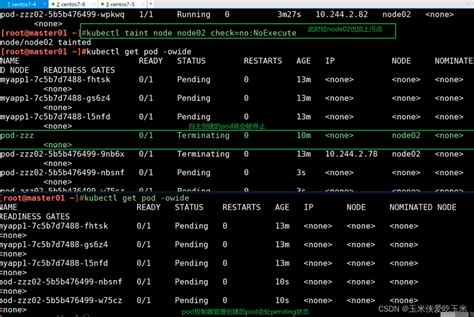 【kubernetes】关于k8s集群的污点、容忍、驱逐以及k8s集群故障排查思路kubernetes污点 Csdn博客