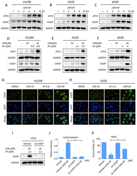 Combination Of Trxr1 Inhibitor And Lenvatinib Triggers Ros Dependent