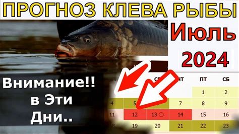 Лунный календарь клева рыбы на Июль 2024 Календарь рыбака июль 2024 Youtube