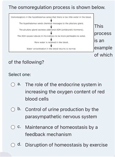 Solved The Osmoregulation Process Is Shown Below Osmoreceptors In The