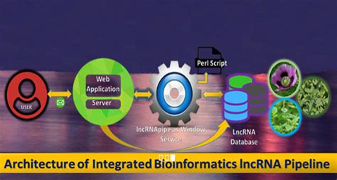 lncrnadetector a bioinformatics pipeline for long noncoding rna