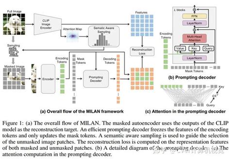 普林斯顿大学等提出milan：语言辅助表示的掩码图像预训练 知乎