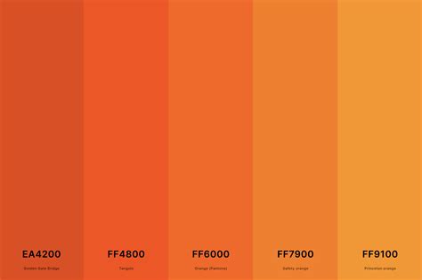 25 Best Orange Color Palettes With Names And Hex Codes Creativebooster
