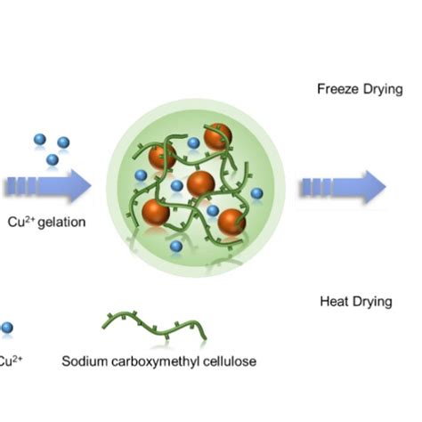 Junkuo Gao Phd Zhejiang Sci Tech University Zstu Department Of Material Engineering
