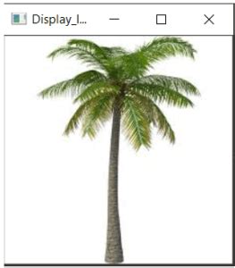 OpenCV Load Image How To Work Imread Function In OpenCV