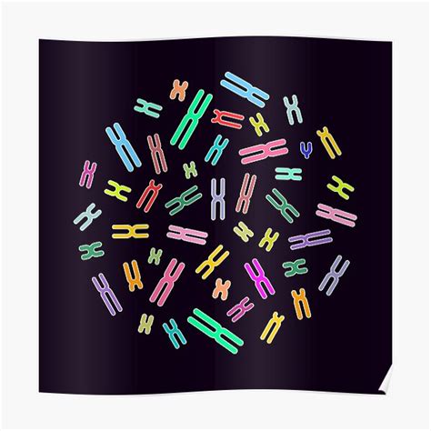 Human Colour Coded DNA XY Poster For Sale By Iconymous Redbubble