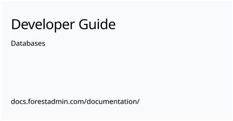 Databases Developer Guide